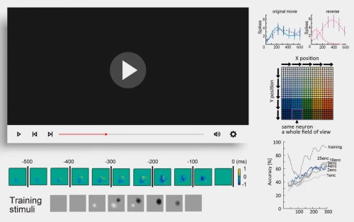 ИИ научили распознавать подвижные изображения — trends.aic